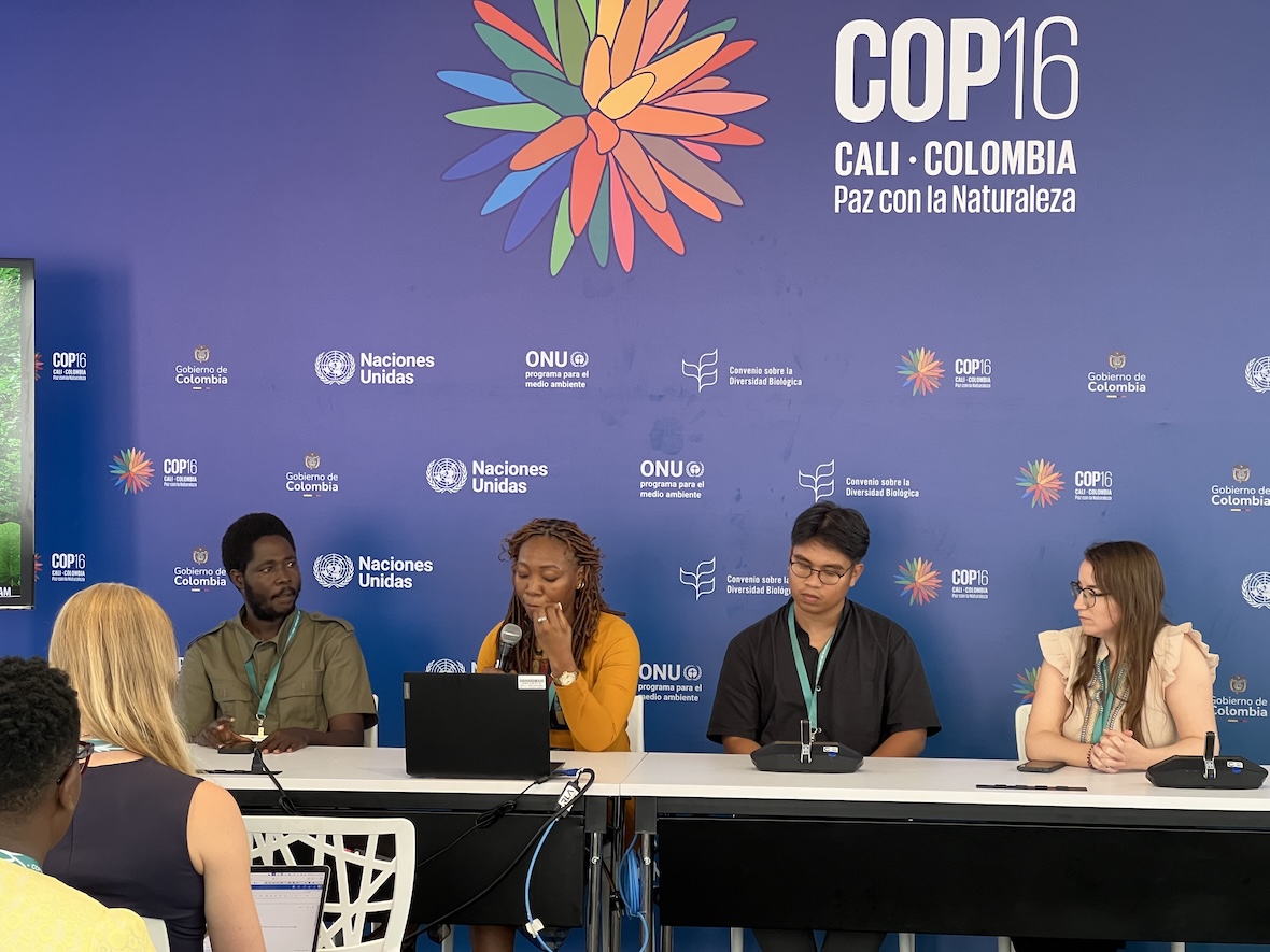 Why Africa’s Youth Voice is Vital to COP16 Biodiversity Talks | African ... Why Africa’s Youth Voice is Vital to COP16 Biodiversity Talks | African ...